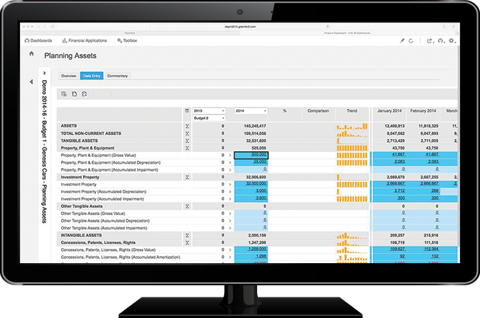 Infor d/EPM | TRG International